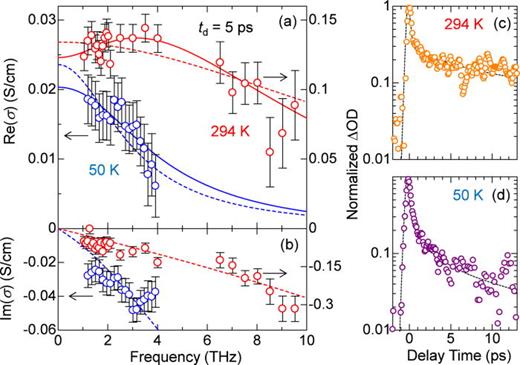 Carrier dynamics of rubrene single-crystals revealed by transient ...