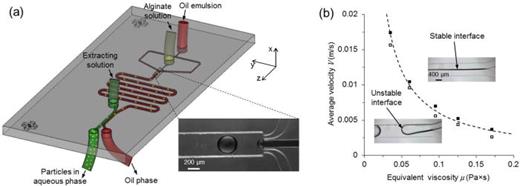 Interfacial tension based on-chip extraction of microparticles confined in microfluidic Stokes ...