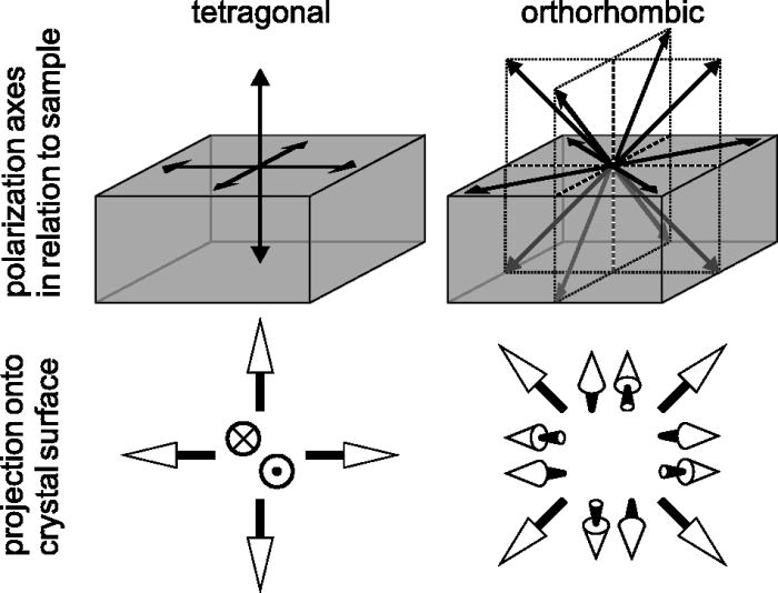 Evolution of ferroelectric domain patterns in BaTiO3 at the ...