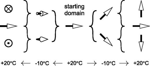 Evolution of ferroelectric domain patterns in BaTiO3 at the ...