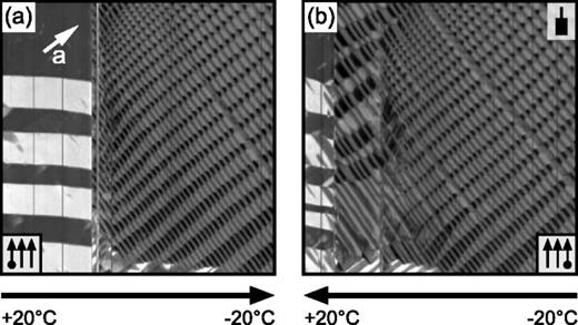 Evolution of ferroelectric domain patterns in BaTiO3 at the ...