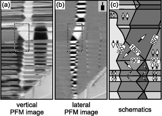Evolution of ferroelectric domain patterns in BaTiO3 at the ...