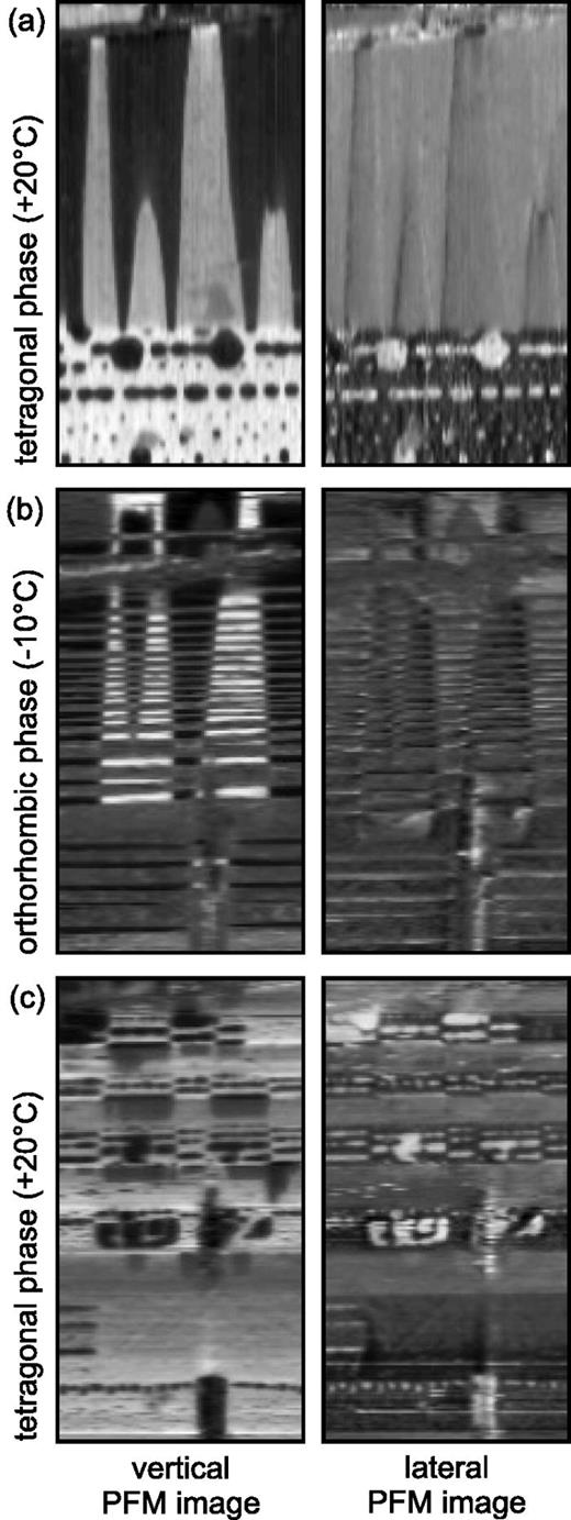 Evolution of ferroelectric domain patterns in BaTiO3 at the ...