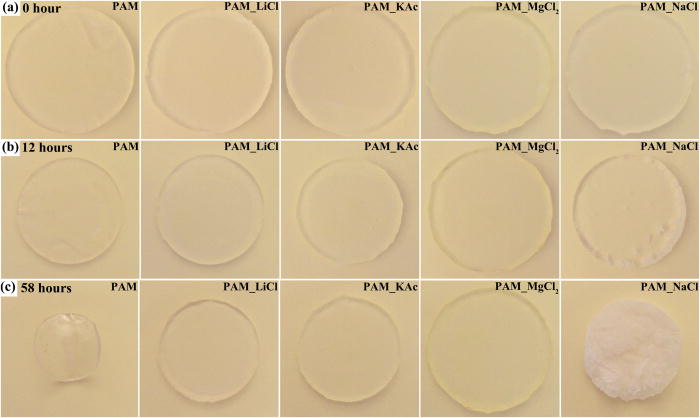 Transparent hydrogel with enhanced water retention capacity by ...