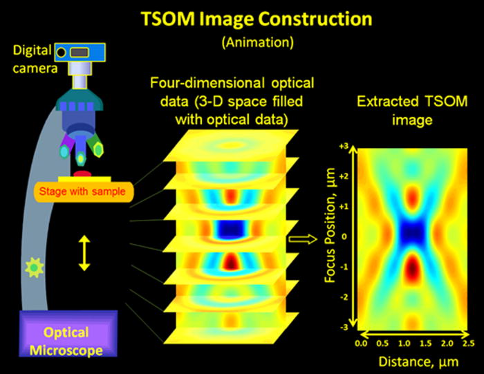 Nanoparticle Size Determination Using Optical Microscopes Applied Physics Letters Aip Publishing