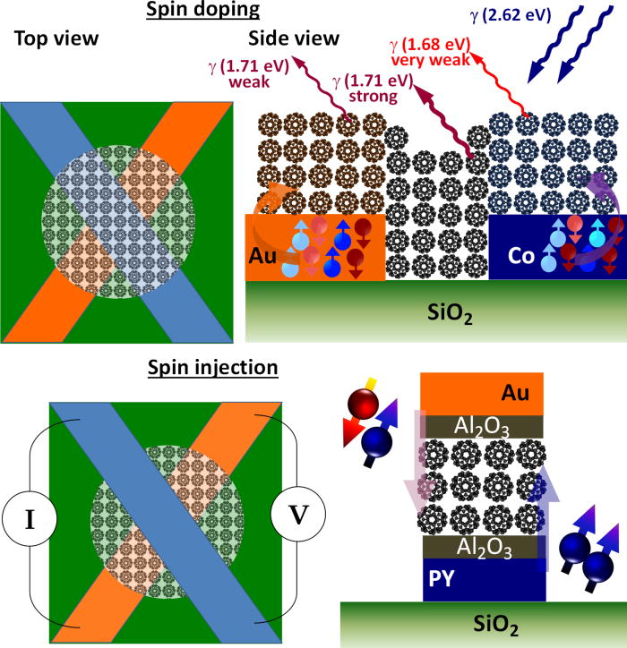 Effects of spin doping and spin injection in the luminescence and ...