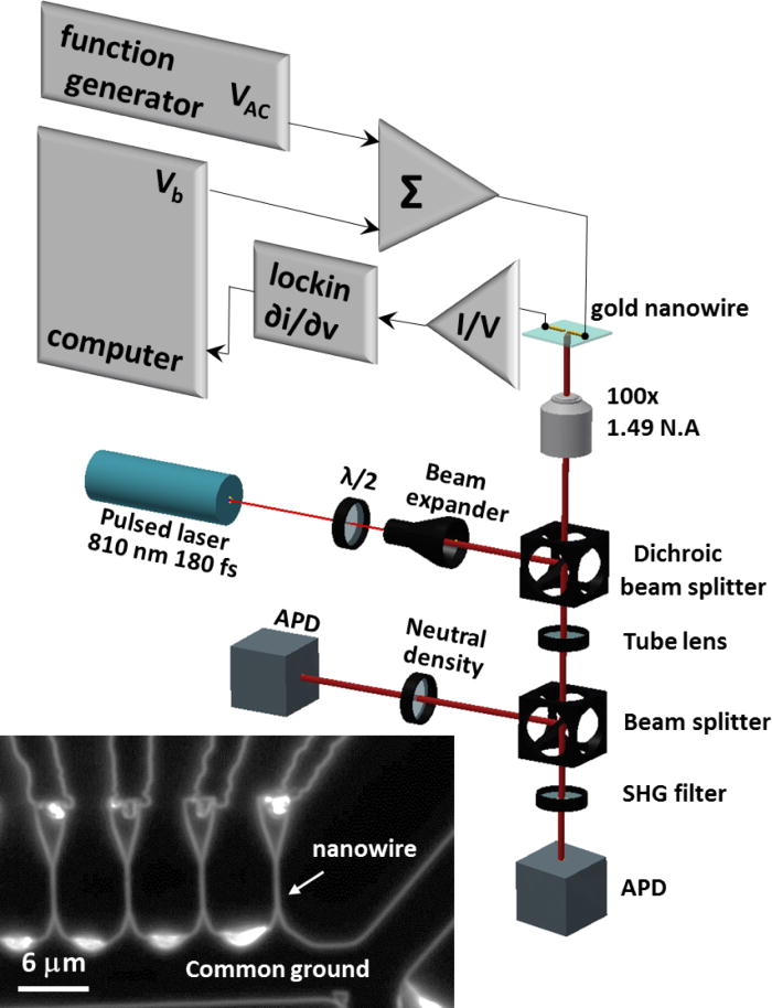 Pre-determining the location of electromigrated gaps by nonlinear ...