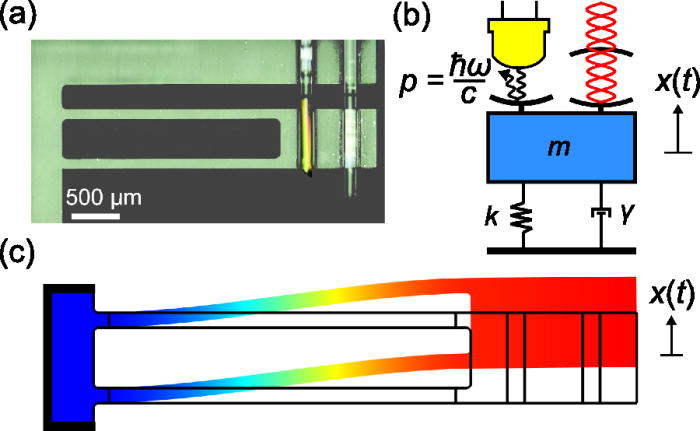 A self-calibrating optomechanical force sensor with femtonewton ...