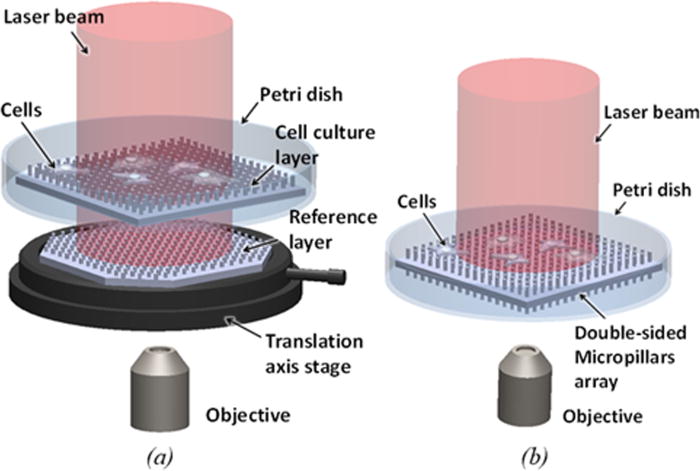 Cell force mapping using a double-sided micropillar array based on the ...