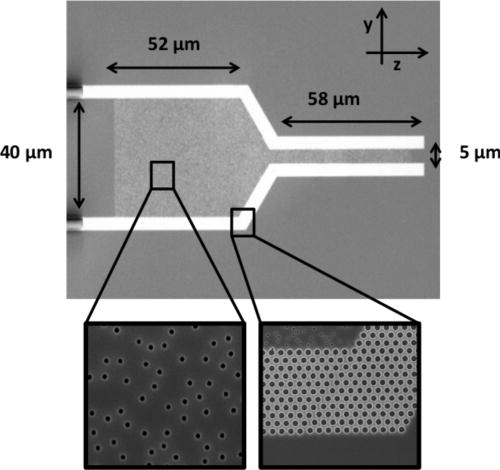 Control of light diffusion in a disordered photonic waveguide | Applied ...