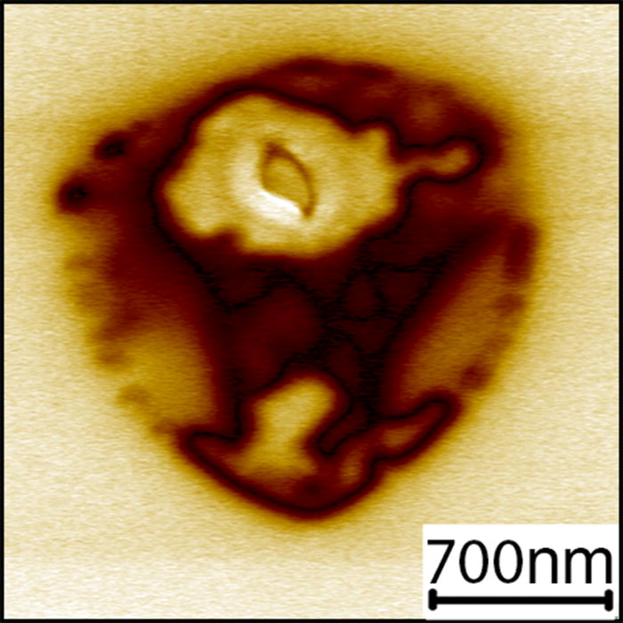 Domain switching by electron beam irradiation of Z+-polar surface in Mg ...
