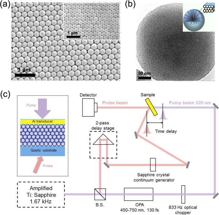 Damping of coherent acoustic vibrations by nanosized pores in colloidal ...