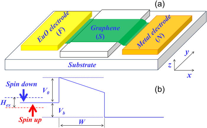 Graphene spin diode: Strain-modulated spin rectification | Applied ...