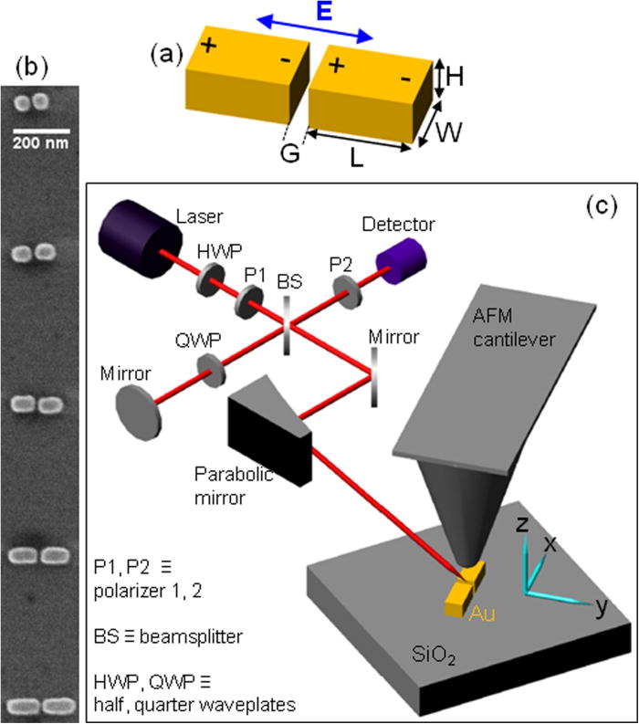 Mapping Near Field Localization In Plasmonic Optical Nanoantennas With