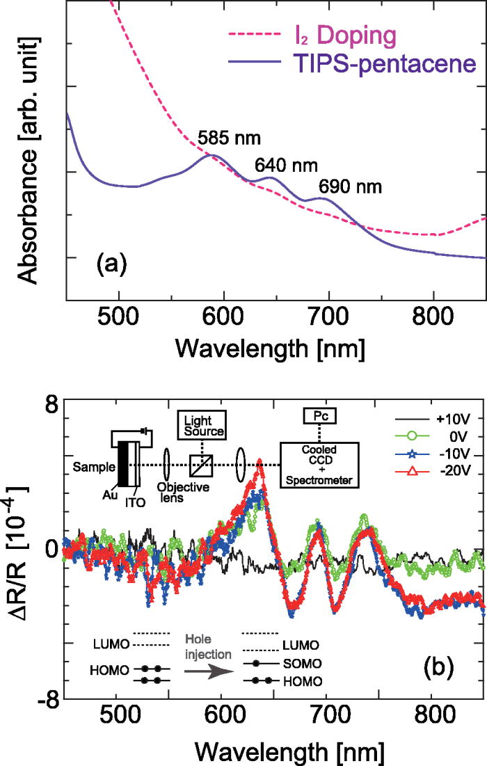 Analysis of carrier transport and carrier trapping in organic diodes ...