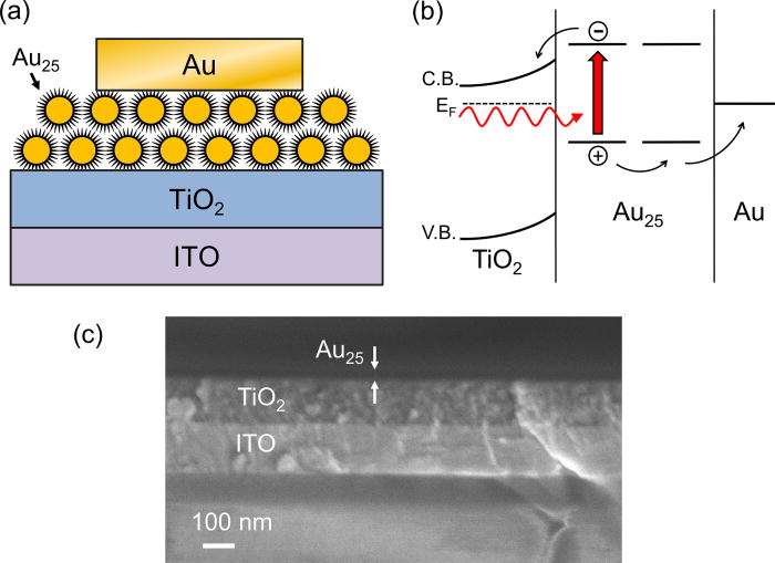 Gold cluster/titanium dioxide heterojunction photovoltaic cell ...