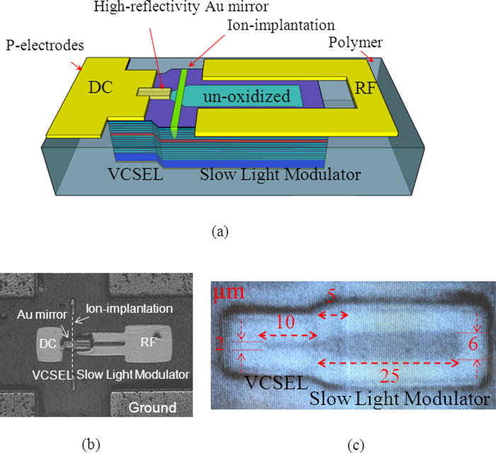 Compact electro-absorption modulator integrated with vertical-cavity ...