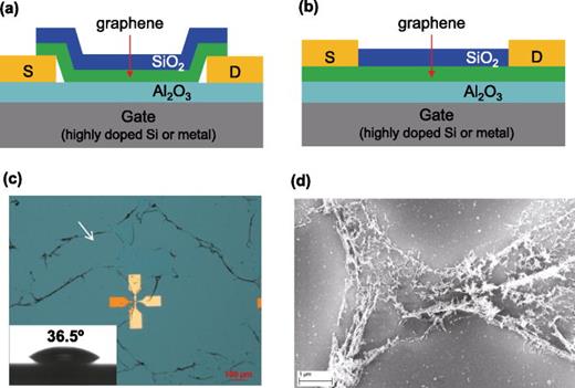 Bottom-gate coplanar graphene transistors with enhanced graphene ...