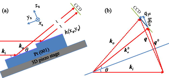 Ptychographic x-ray imaging of surfaces on crystal truncation rod ...