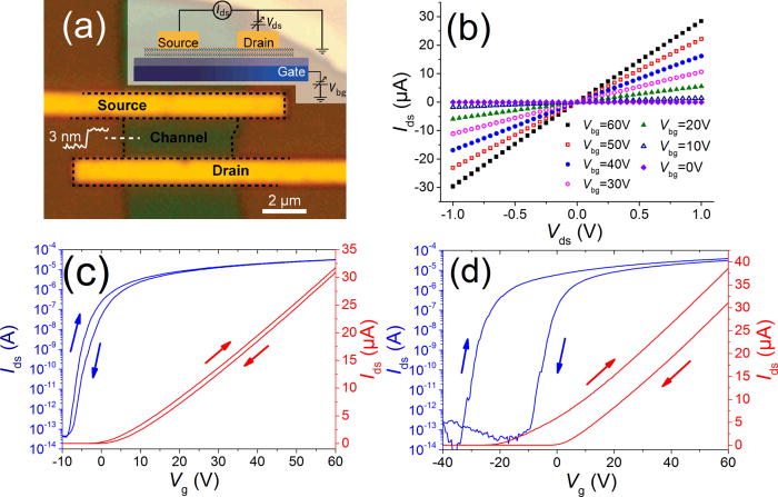 Charge trapping at the MoS2-SiO2 interface and its effects on the characteristics of MoS2 metal ...
