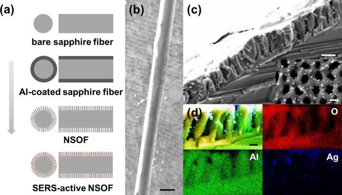 A scalable pathway to nanostructured sapphire optical fiber for ...