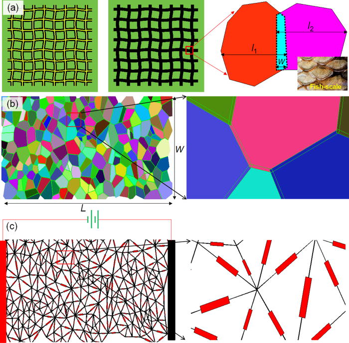Bio-inspired mechanics of highly sensitive stretchable graphene strain ...