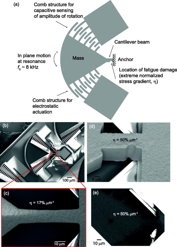 Extreme stress gradient effects on microstructural fatigue crack ...