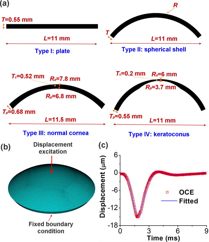 Analysis of the effects of curvature and thickness on elastic wave ...