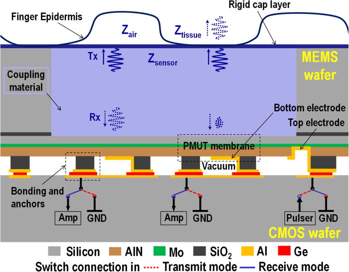 Ultrasonic fingerprint sensor using a piezoelectric micromachined ...