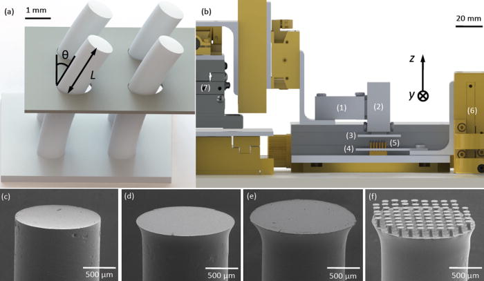 Actively controlled fibrillar friction surfaces | Applied Physics ...