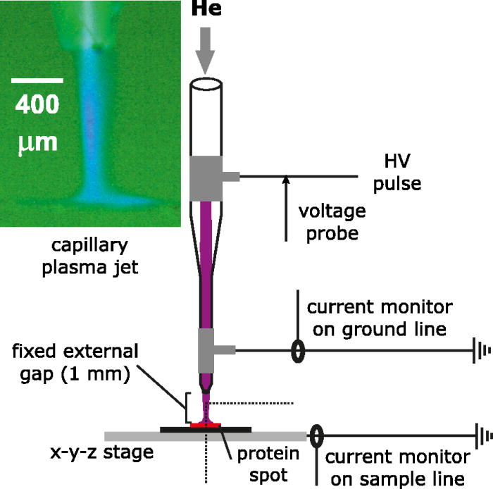 Capillary plasma jet: A low volume plasma source for life science ...