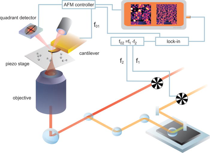 Ultrafast pump-probe force microscopy with nanoscale resolution ...