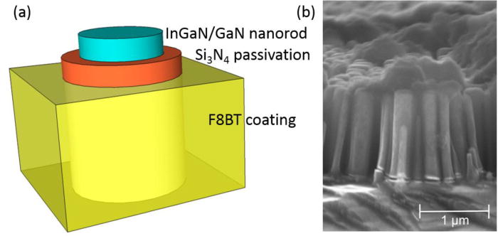 Enhanced non-radiative energy transfer in hybrid III-nitride structures ...