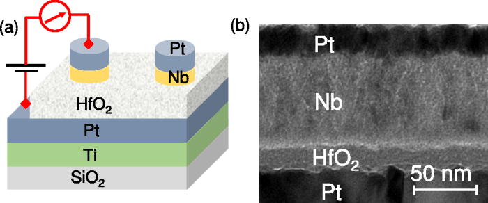 Self-assembly of an NbO2 interlayer and configurable resistive ...