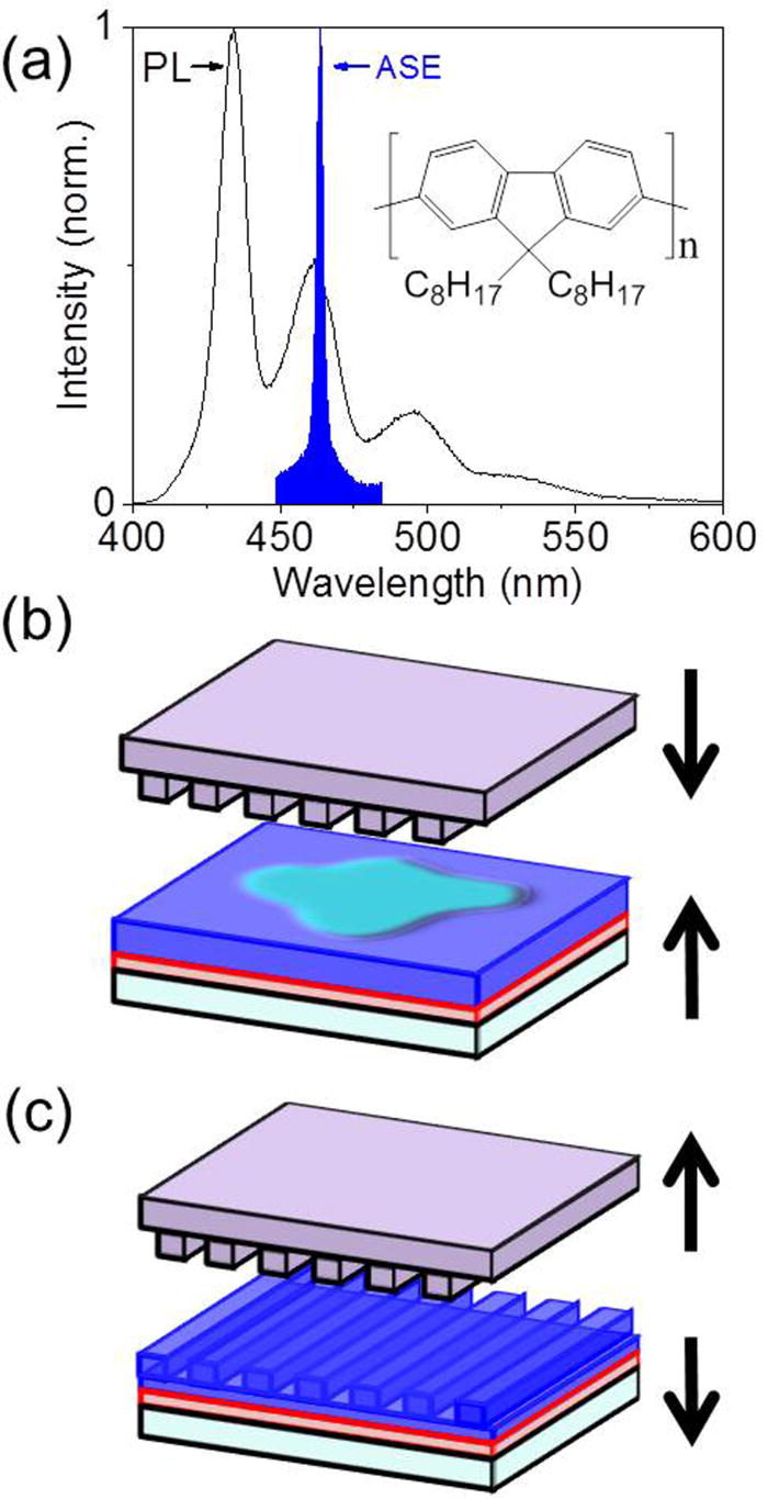 Solvent immersion nanoimprint lithography of fluorescent conjugated ...