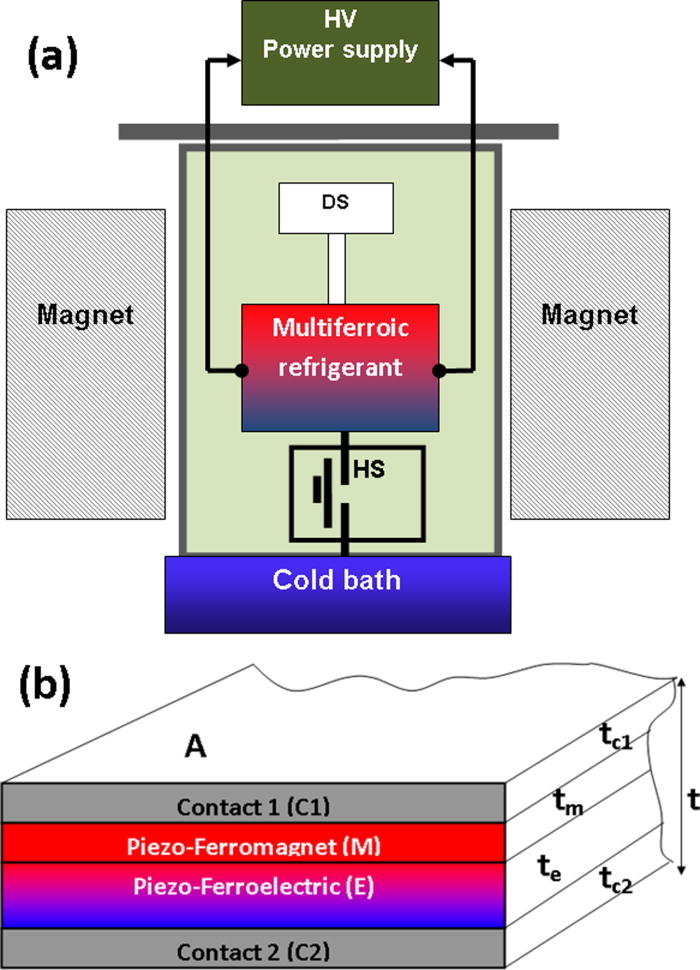 Multicaloric effect in bi-layer multiferroic composites | Applied ...