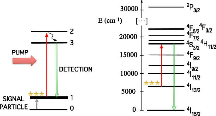 Particle detection through the quantum counter concept in YAG:Er3 ...