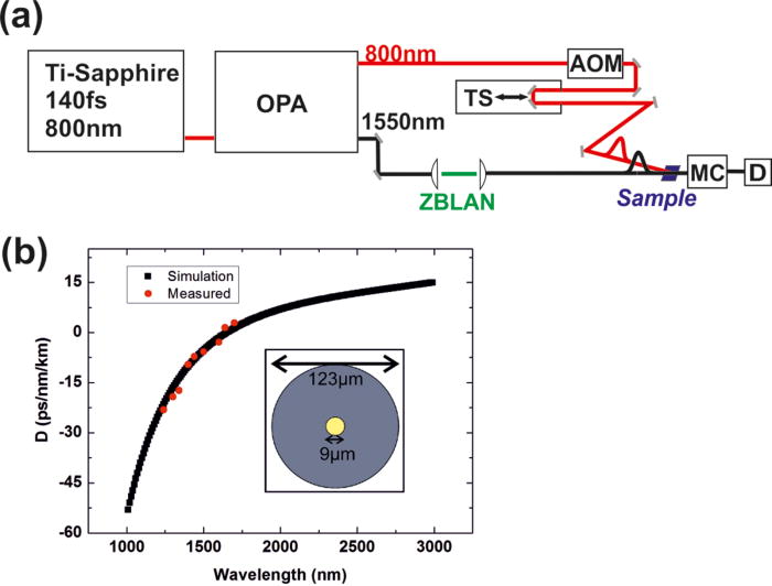 Near infrared ultrafast pump-probe spectroscopy with ZrF4-BaF2-LaF3 ...