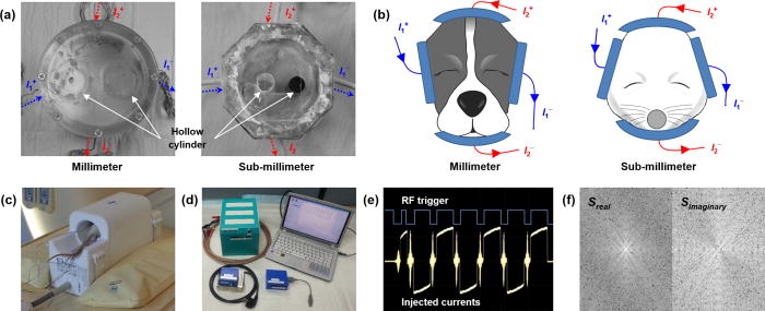 Sub-millimeter resolution electrical conductivity images of brain ...