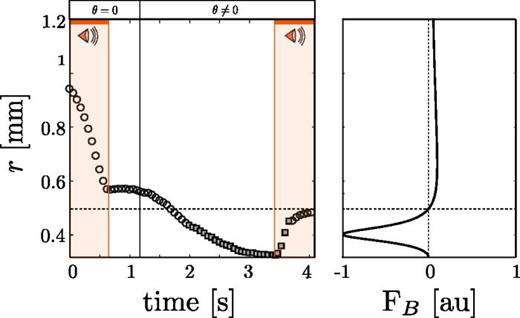Manipulating bubbles with secondary Bjerknes forces | Applied Physics ...