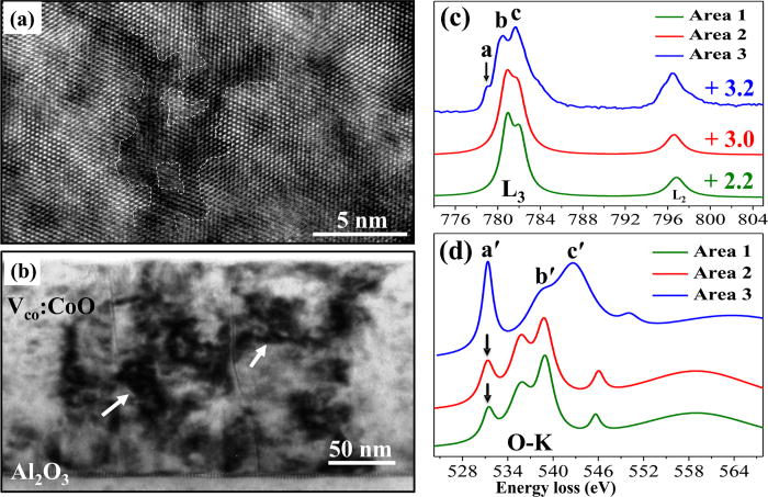 Native defect induced charge and ferromagnetic spin ordering and ...