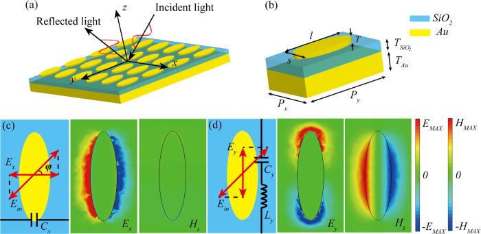 Large-area, broadband and high-efficiency near-infrared linear ...