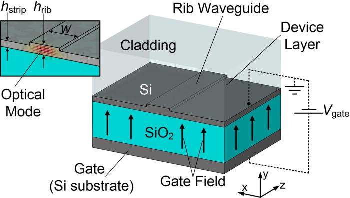 Optical loss by surface transfer doping in silicon waveguides | Applied ...