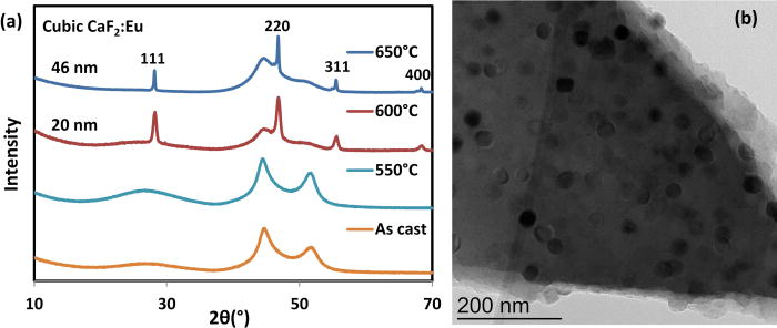 A neutron scintillator based on transparent nanocrystalline CaF2:Eu ...