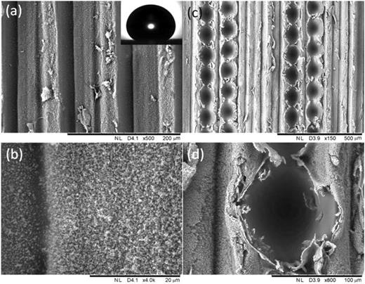 Superhydrophobicity on nanostructured porous hydrophilic material ...