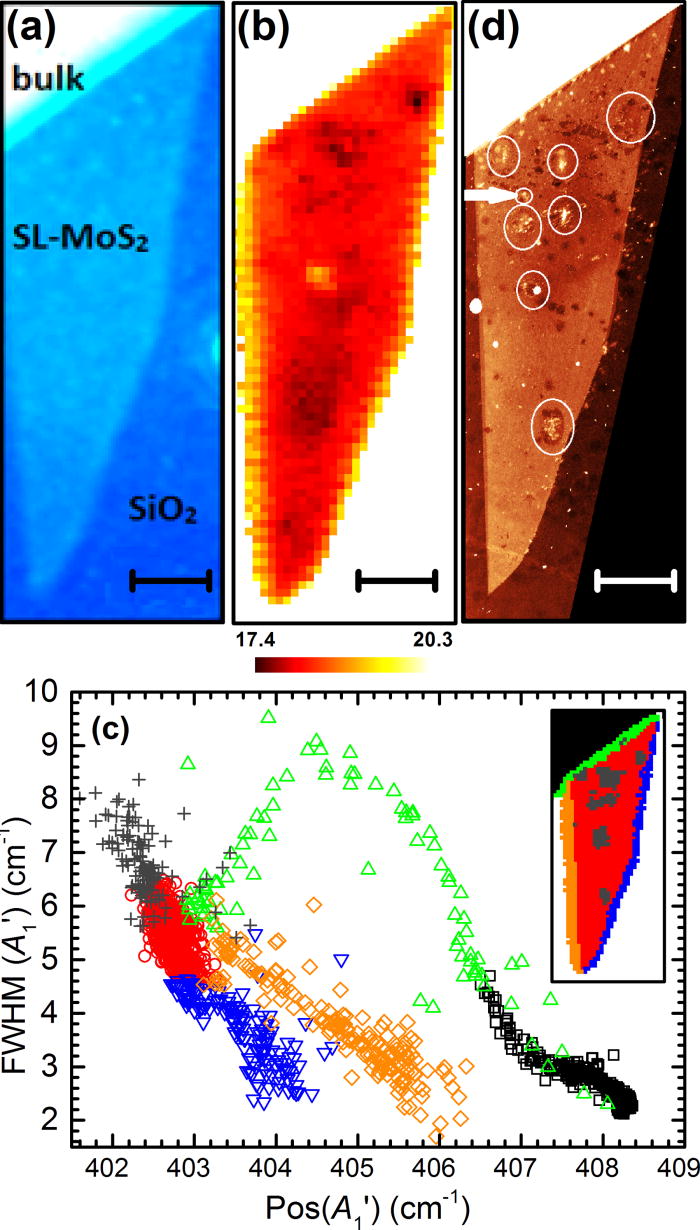Optical detection of strain and doping inhomogeneities in single layer ...