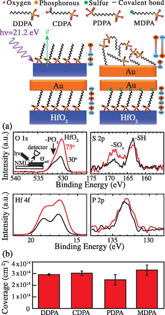 Work function tuning at Au-HfO2 interfaces using organophosphonate monolayers | Applied Physics ...