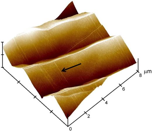 Ferroelastic shear bands in Pb3(PO4)2 | Applied Physics Letters | AIP ...