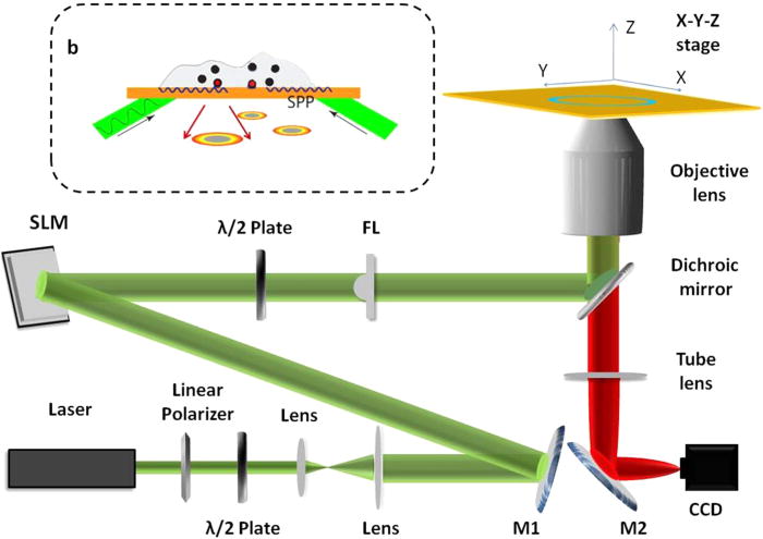 Perfect optical vortex enhanced surface plasmon excitation for ...