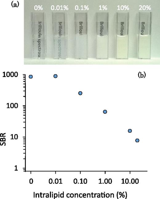 High-extinction virtually imaged phased array-based Brillouin spectroscopy of turbid biological ...
